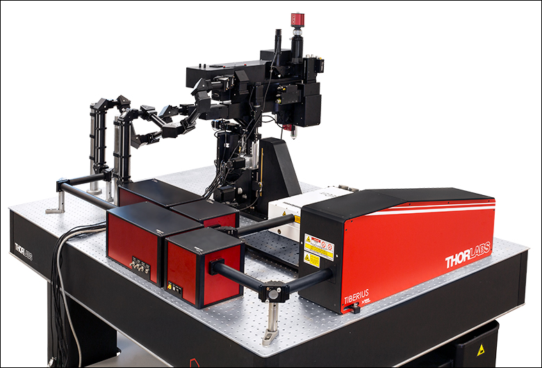 Thorlabs 型号TIBERIUS 可调谐飞秒钛蓝宝石激光器，用于双光子显微镜-光电汇